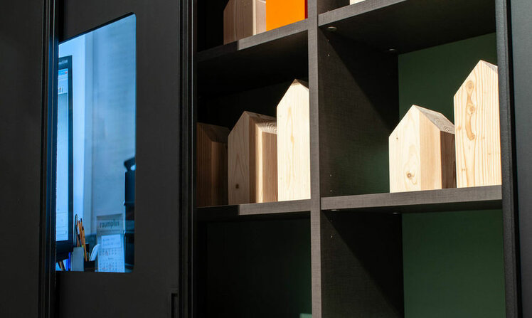 Sliding TV Door | raumplus